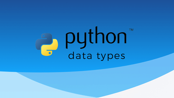 On The Implementation of Float and List Types in Python: Part I ...